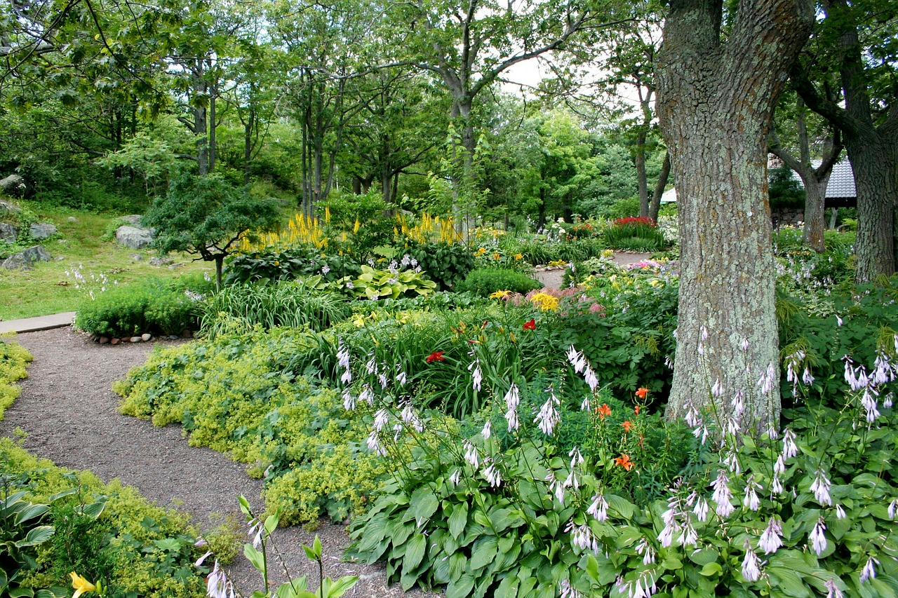 Landscaping for Wildlife • Green Living Journal