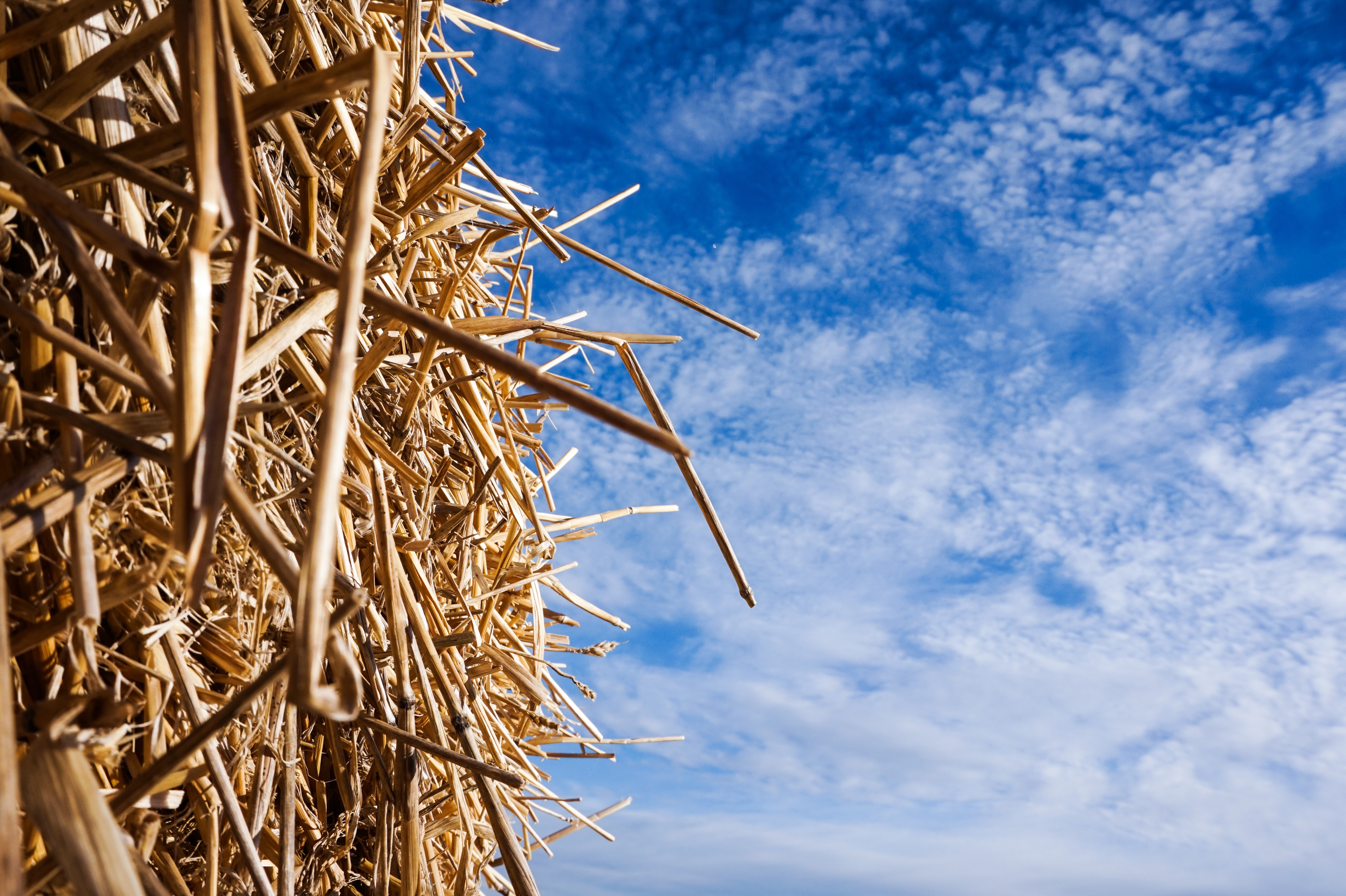 Straw Bale: A Love Story • Green Living Journal