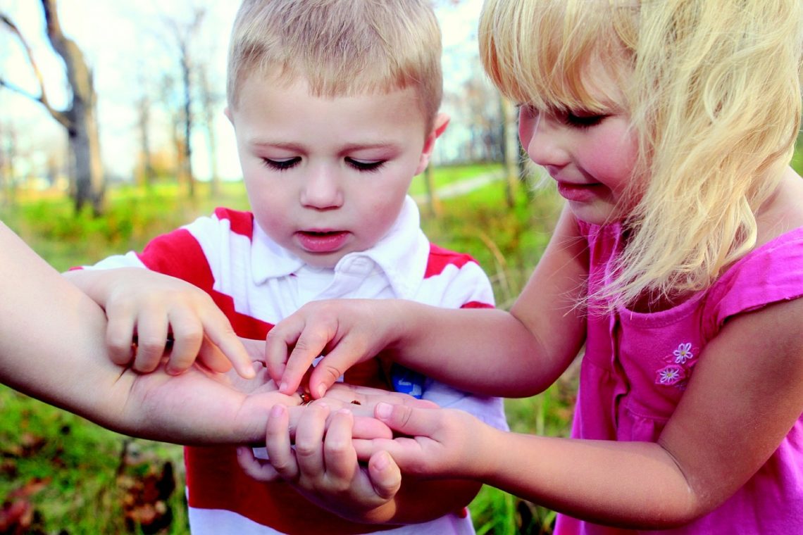 Winter Garden Activities for Children: • Green Living Journal